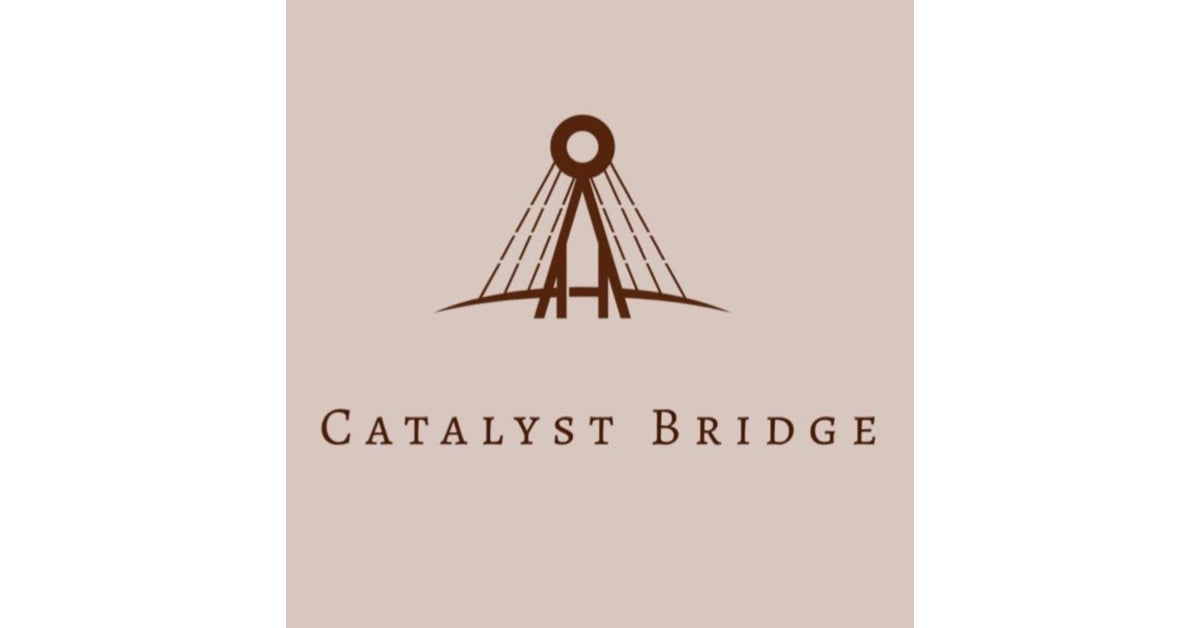 Credit Control – Catalyst Bridge